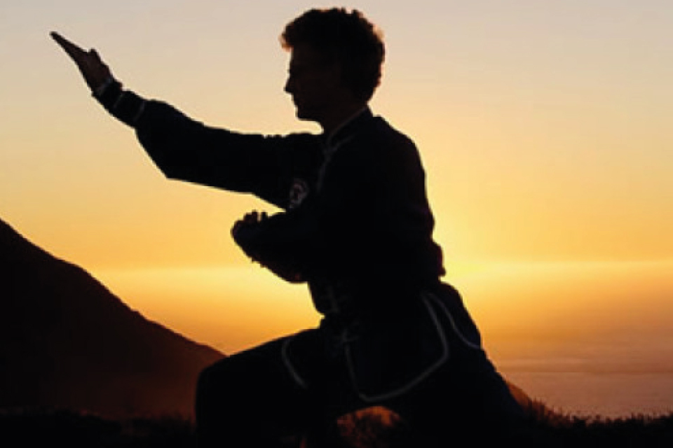 Tai Chi Chuan e Qi Gong - Top Quadrifoglio Bologna